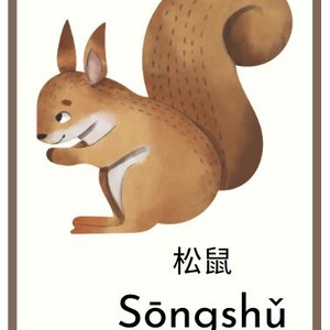 Animal Flashcards Learn Mandarin Chinese Homeschool Nursery Preschool ...