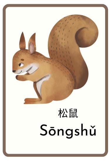 Animal Flashcards Learn Mandarin Chinese Homeschool Nursery Preschool ...