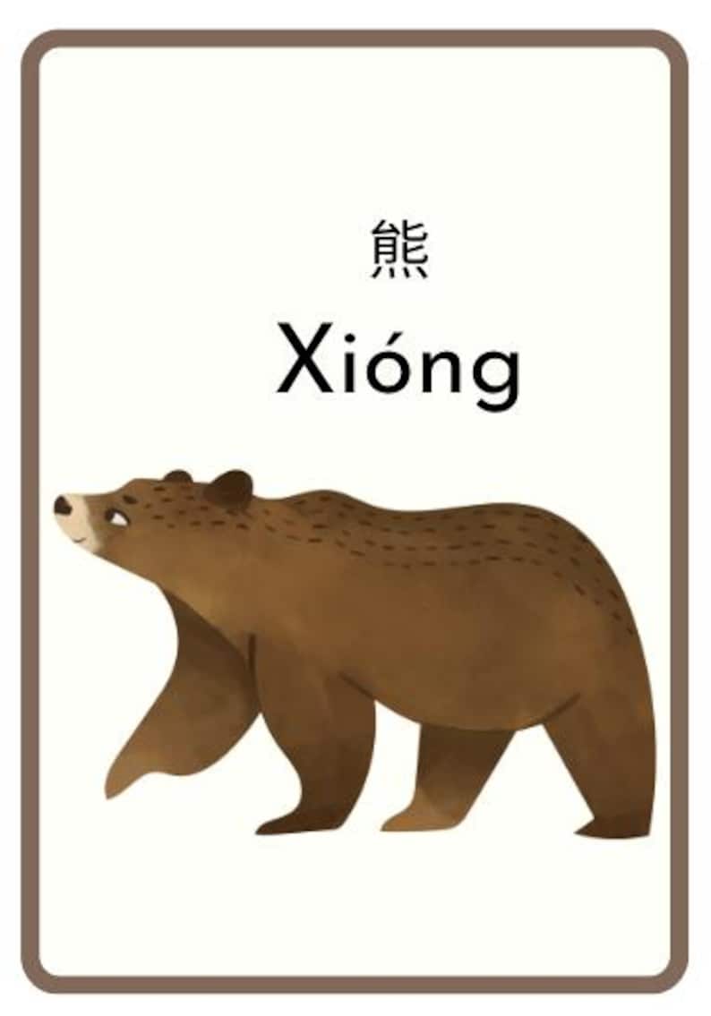 Animal Flashcards Learn Mandarin Chinese Homeschool Nursery Preschool ...