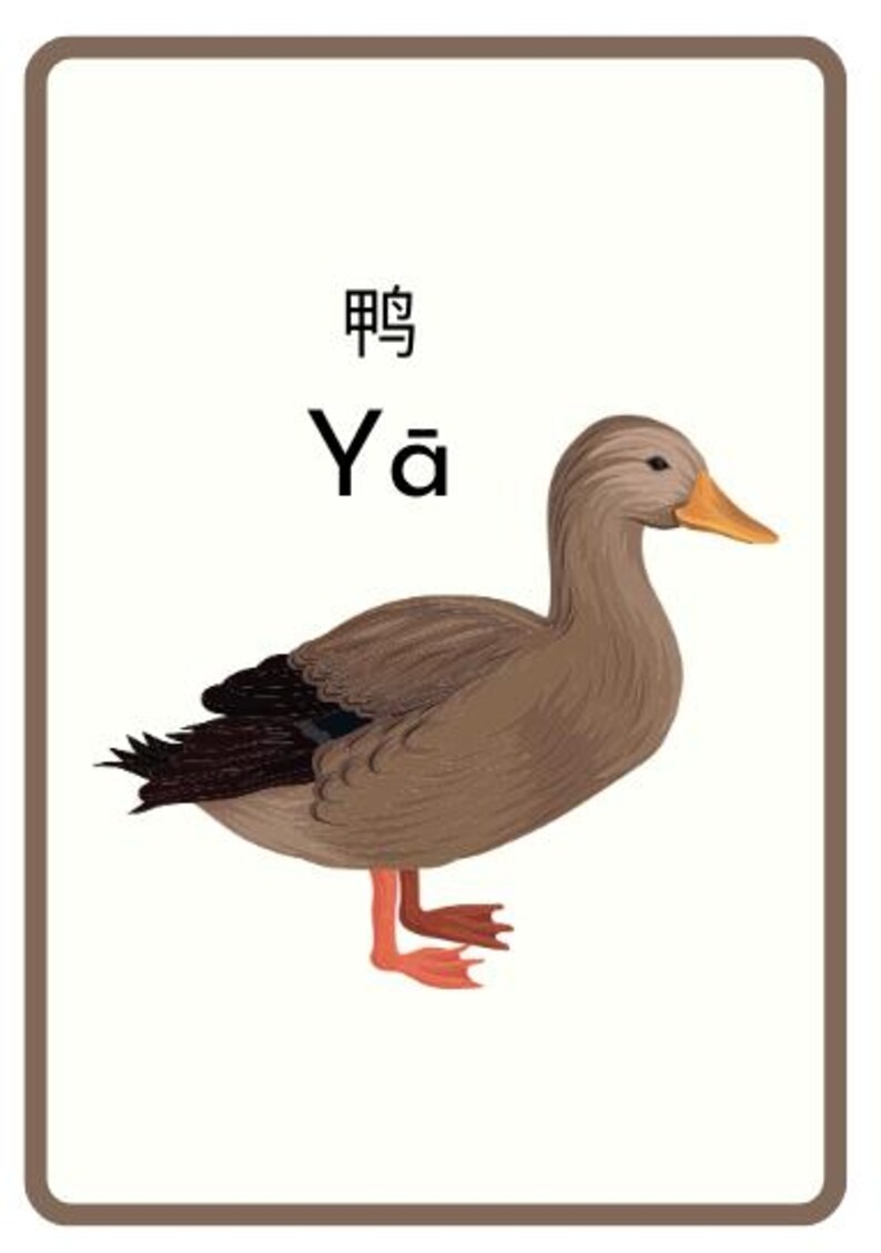 Animal Flashcards Learn Mandarin Chinese Homeschool Nursery Preschool ...