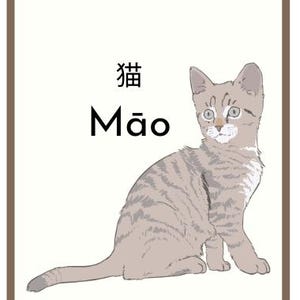 Animal Flashcards Learn Mandarin Chinese Homeschool Nursery Preschool ...