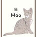 Animal Flashcards Learn Mandarin Chinese Homeschool Nursery Preschool ...