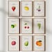 Vintage Fruit of the Spirit Wall Art Gallery Colorful Set of 9 for ...