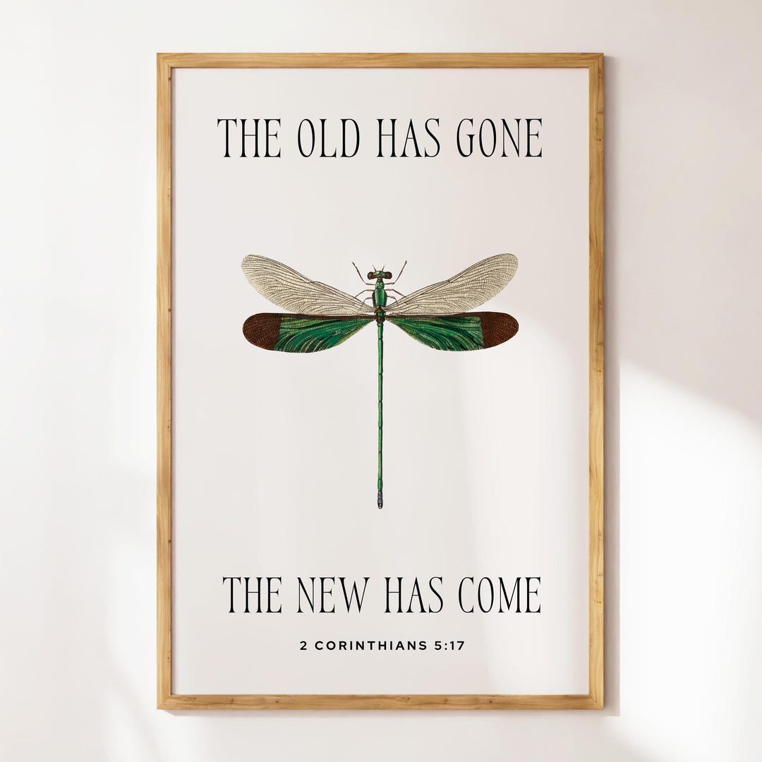 2 Corinthians Dragonfly Christian Wall Art Bible Verse Quote Sage Green ...