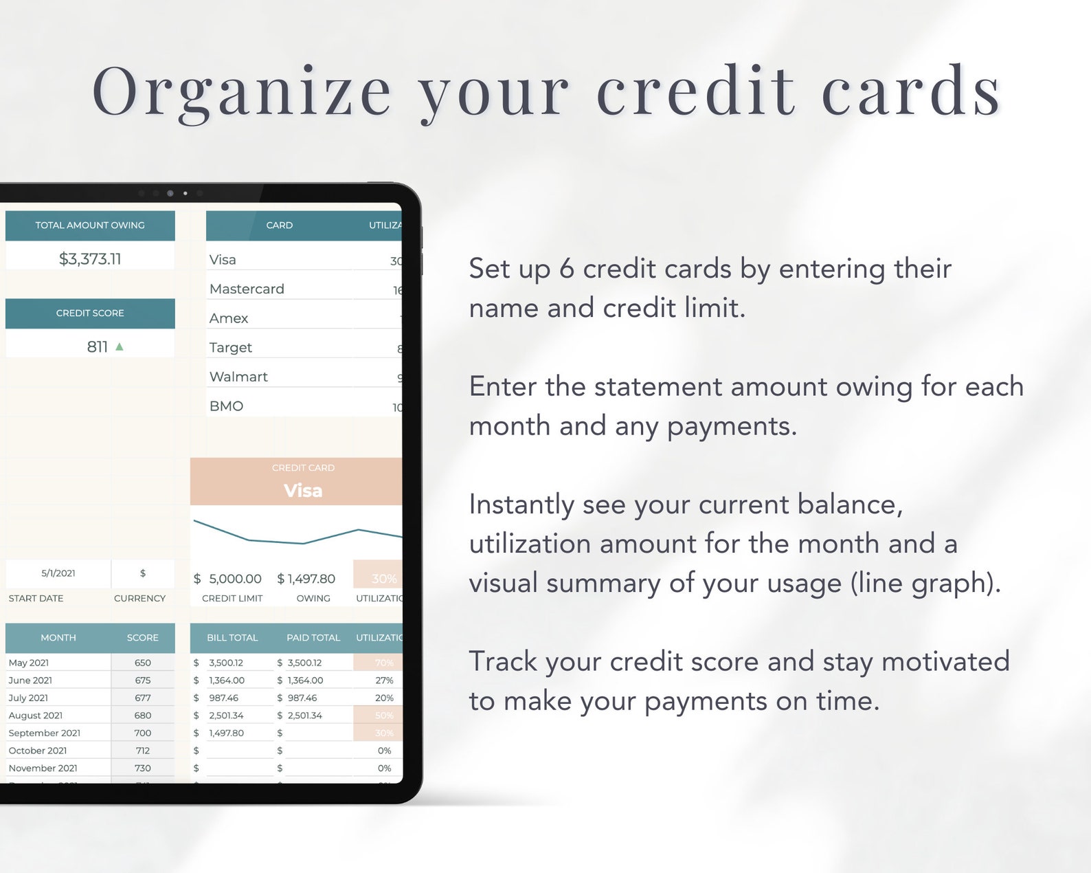 Credit Card Payoff Spreadsheet Excel Credit Card Tracker Log - Etsy