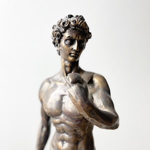 Michelangelos David Statue Heavy Bronze Resin - Etsy