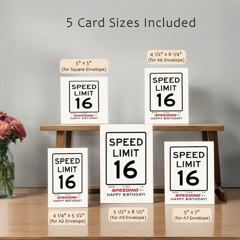 Funny 16th Birthday Card: Speed Limit Sign (printable) - Etsy