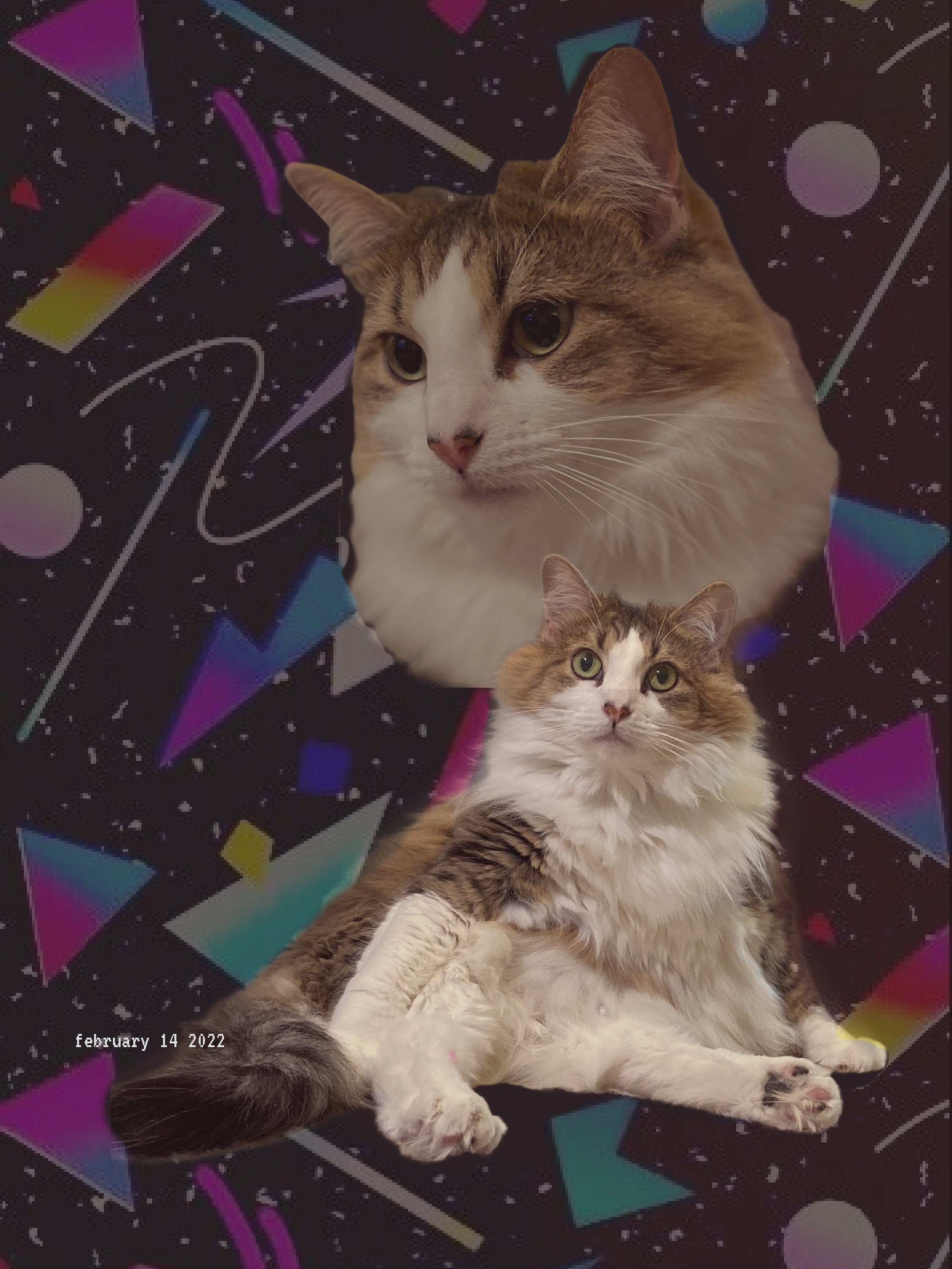 CUSTOM Double Exposure 80s Portrait of 1 Pet - Etsy