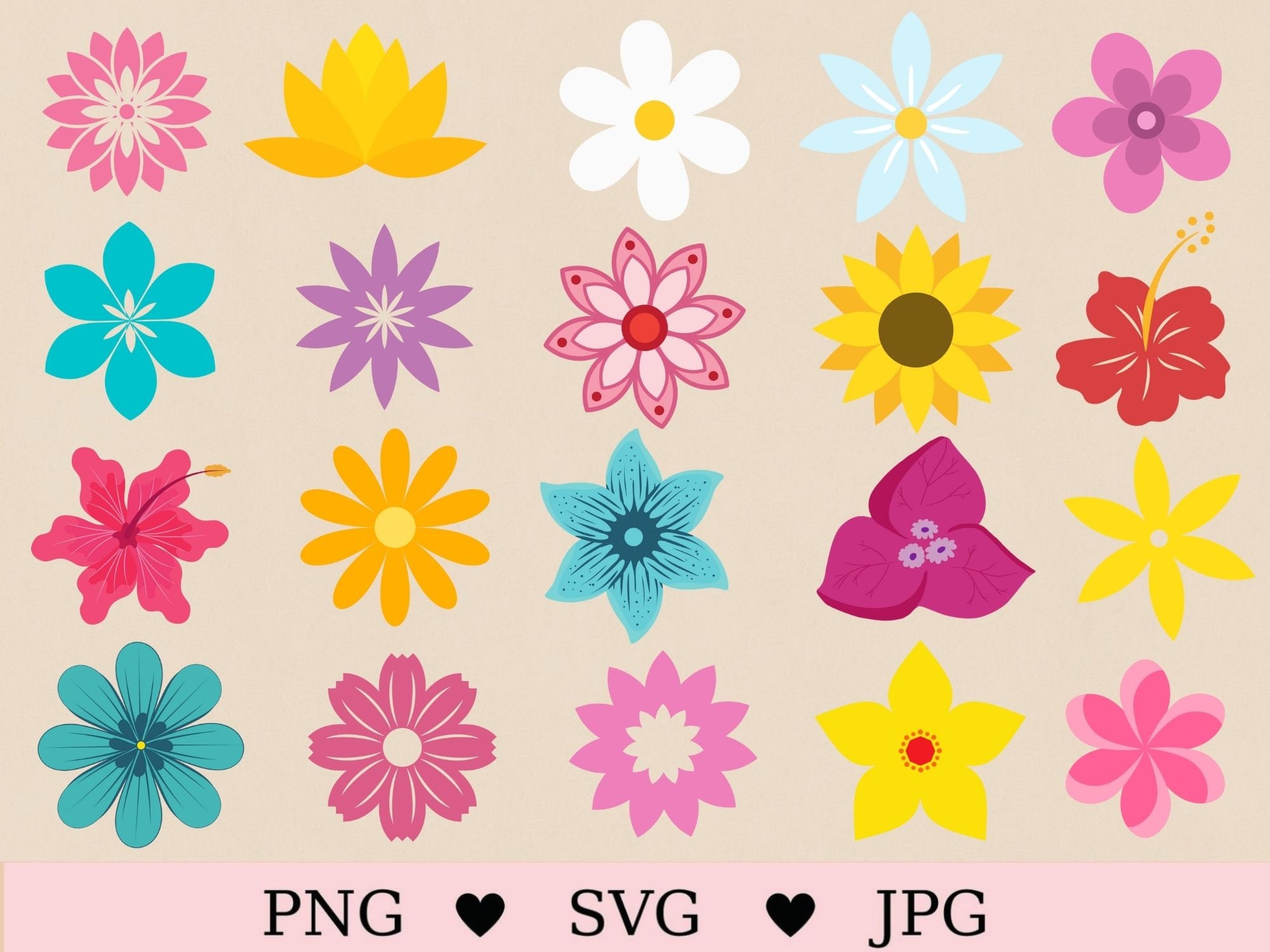 Flowers Flower Svg Flower Png Cute Flower Flower Svg - Etsy