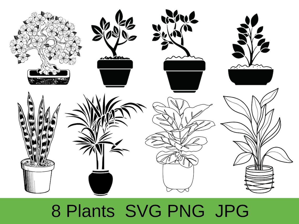 Plants Svg Plants Bundle Houseplant Svg Hand Drawn Plants - Etsy