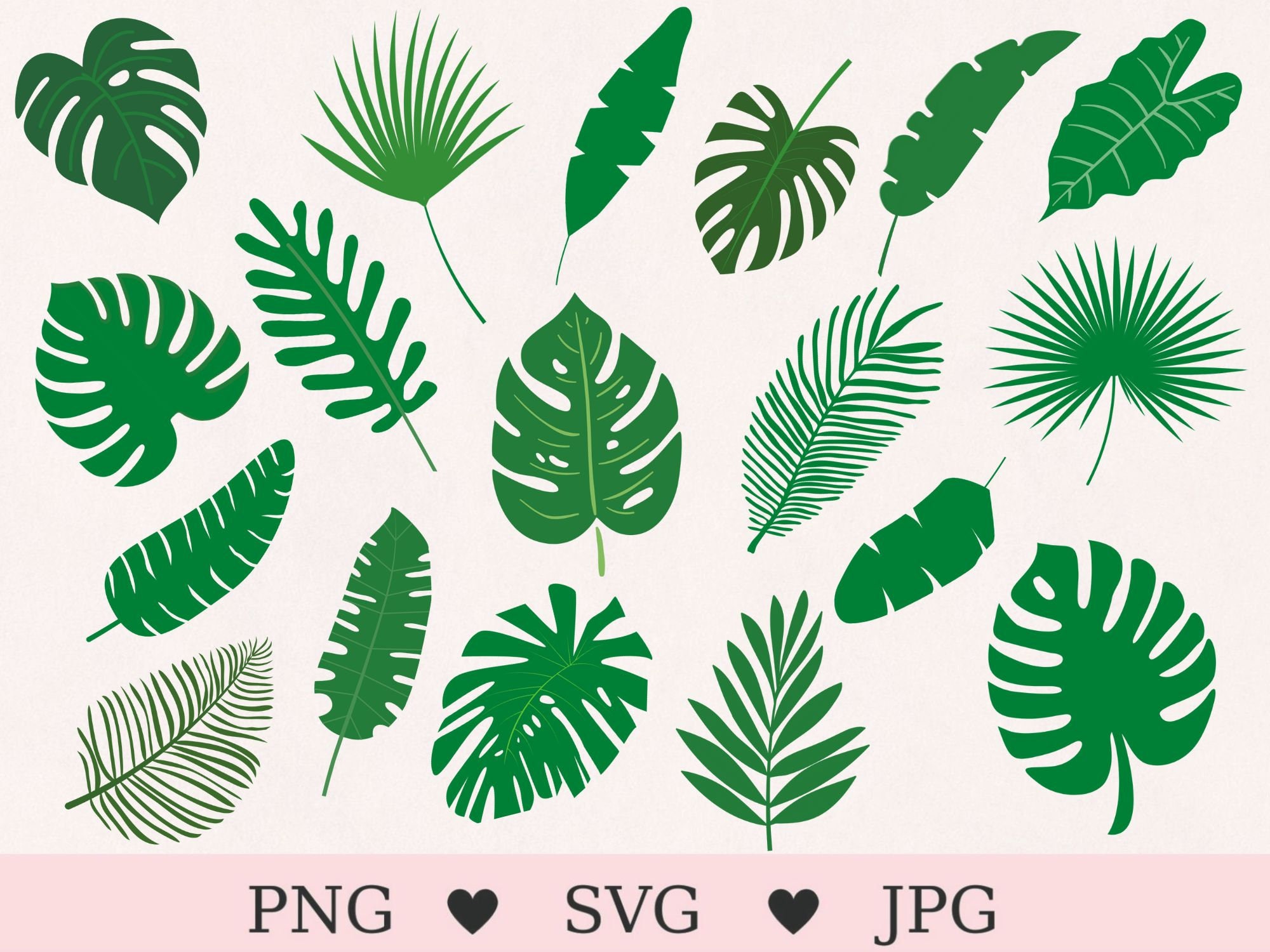 Feuilles tropicales svg, svg feuilles, bundle svg, feuilles de monstera ...