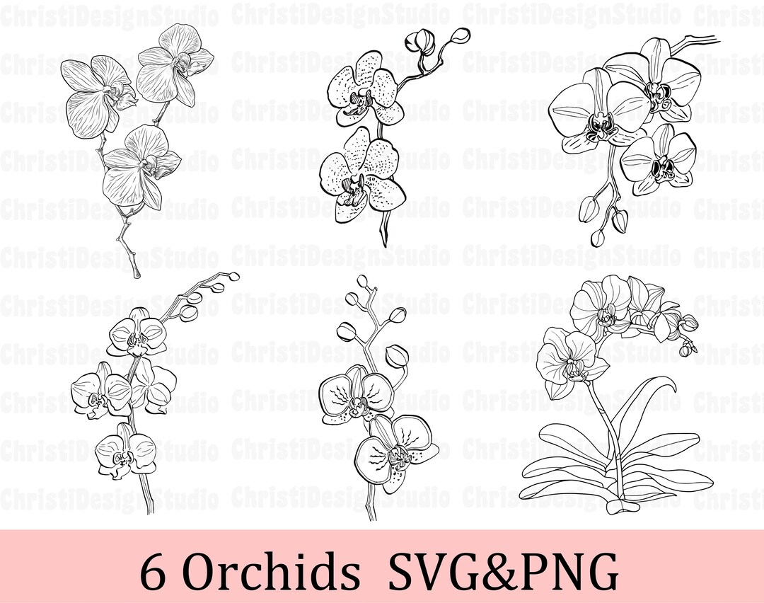 Orchids Svg, Flowers Svg, Orchids Clipart, Floral Svg, Orchid Cut File ...