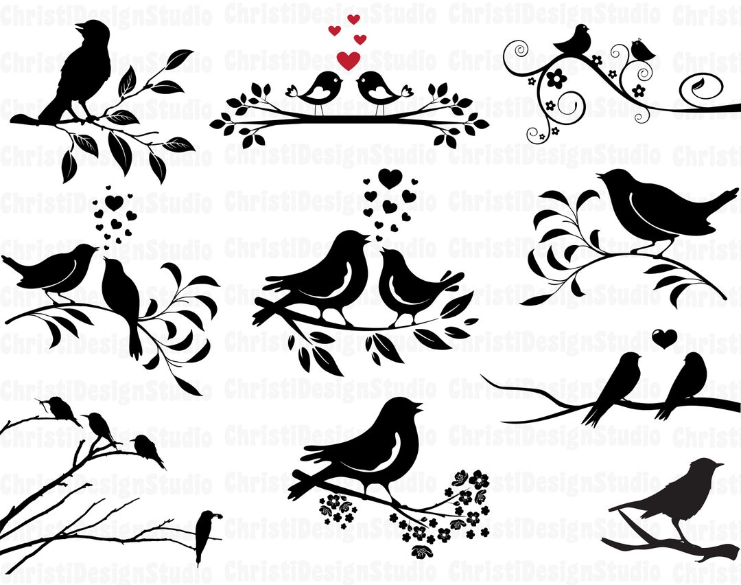 Birds Svg Bundle, Birds on Brunch Svg, Love Birds Svg, Bird Couple Svg ...