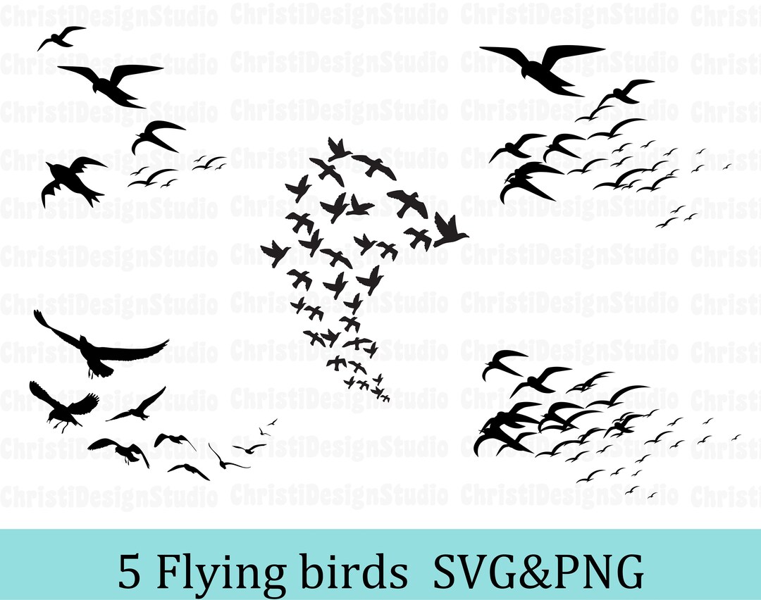 Flock of Birds Svg Bundle, Flock of Birds Clipart, Flock of Birds Cut ...