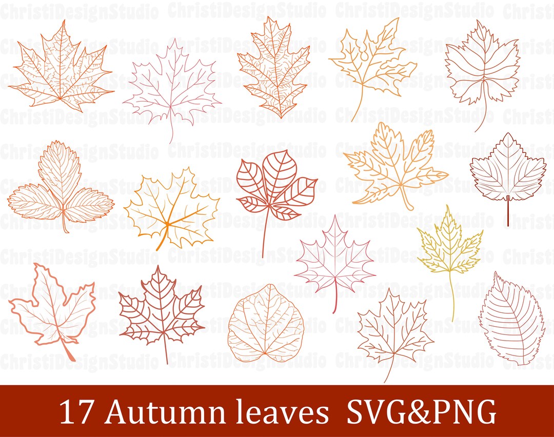 Autumn Leaves Svg Bundle, Fall Svg, Autumn Leaves Shirt Png, Leaf ...