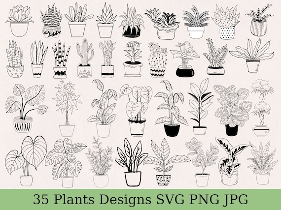 Plants Svg Plants Bundle Houseplant Svg Hand Drawn Plants - Etsy Australia
