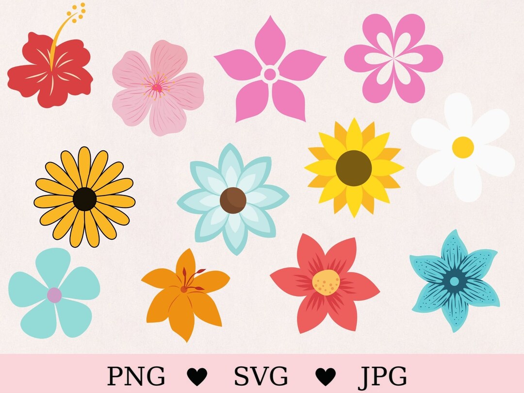Flowers Flower Svg Flower Png Cute Flower Flower Svg - Etsy