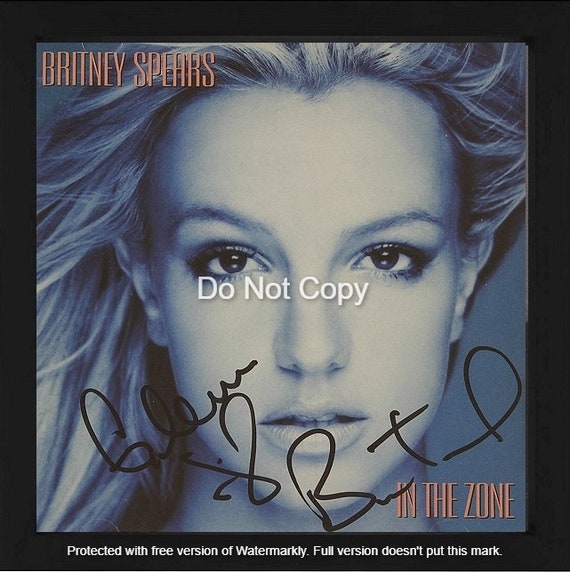 In The Zone Album Cover