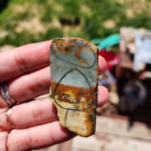 Rocky Butte Jasper Statement Ring Size 9 1/4 Made With .925 Sterling ...