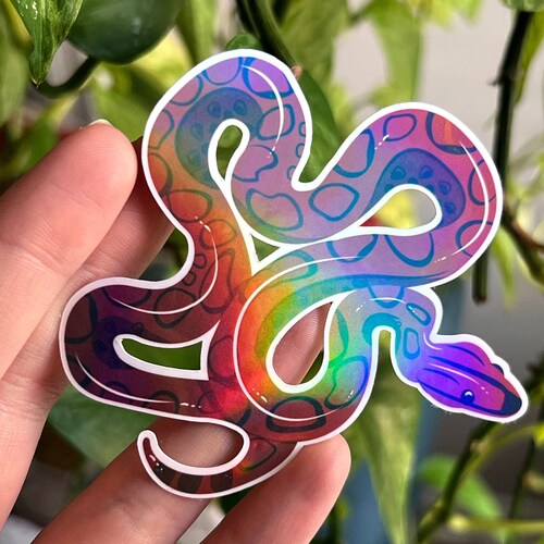 Rainbow Boa Holographic Sticker - Etsy