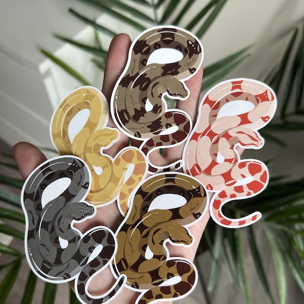 Boa Constrictor - Etsy