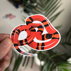 Milk Snake Stickers 6 Morphs Normal, Albino, Anery, Apricot, Ghost, Tangerine - Etsy