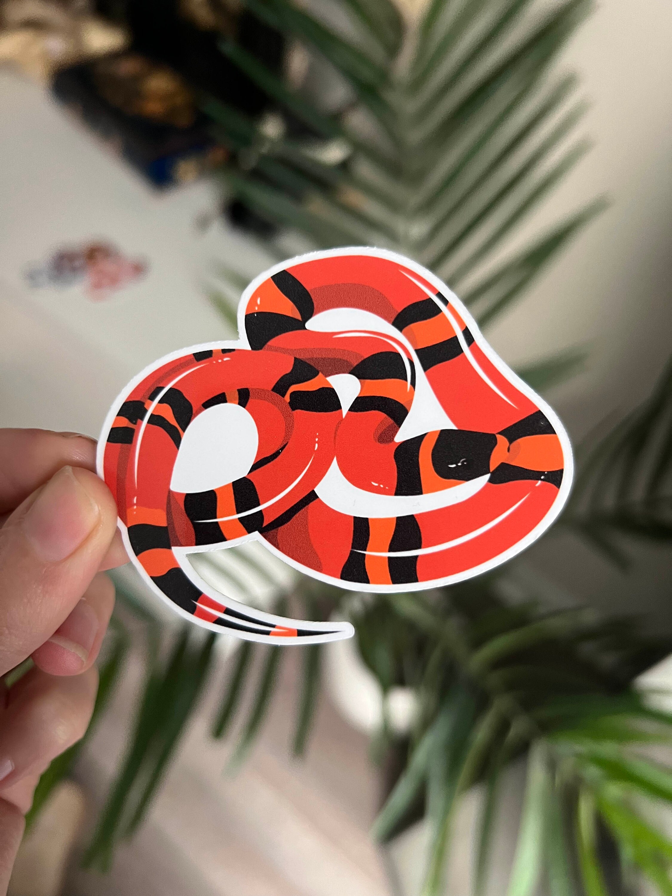 Milk Snake Stickers 6 Morphs Normal Albino Anery - Etsy