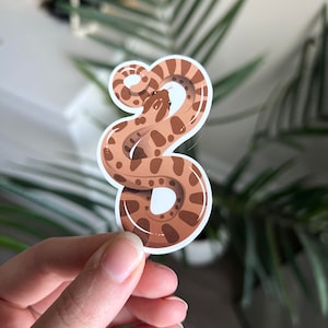 Hognose Conda Stickers 6 Morphs Normal, Albino, Toffee/carmel, Snow ...