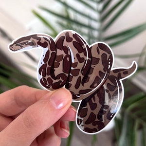 Burmese Python Stickers 6 Morphs Wild, Albino, Granite, Albino Granite ...