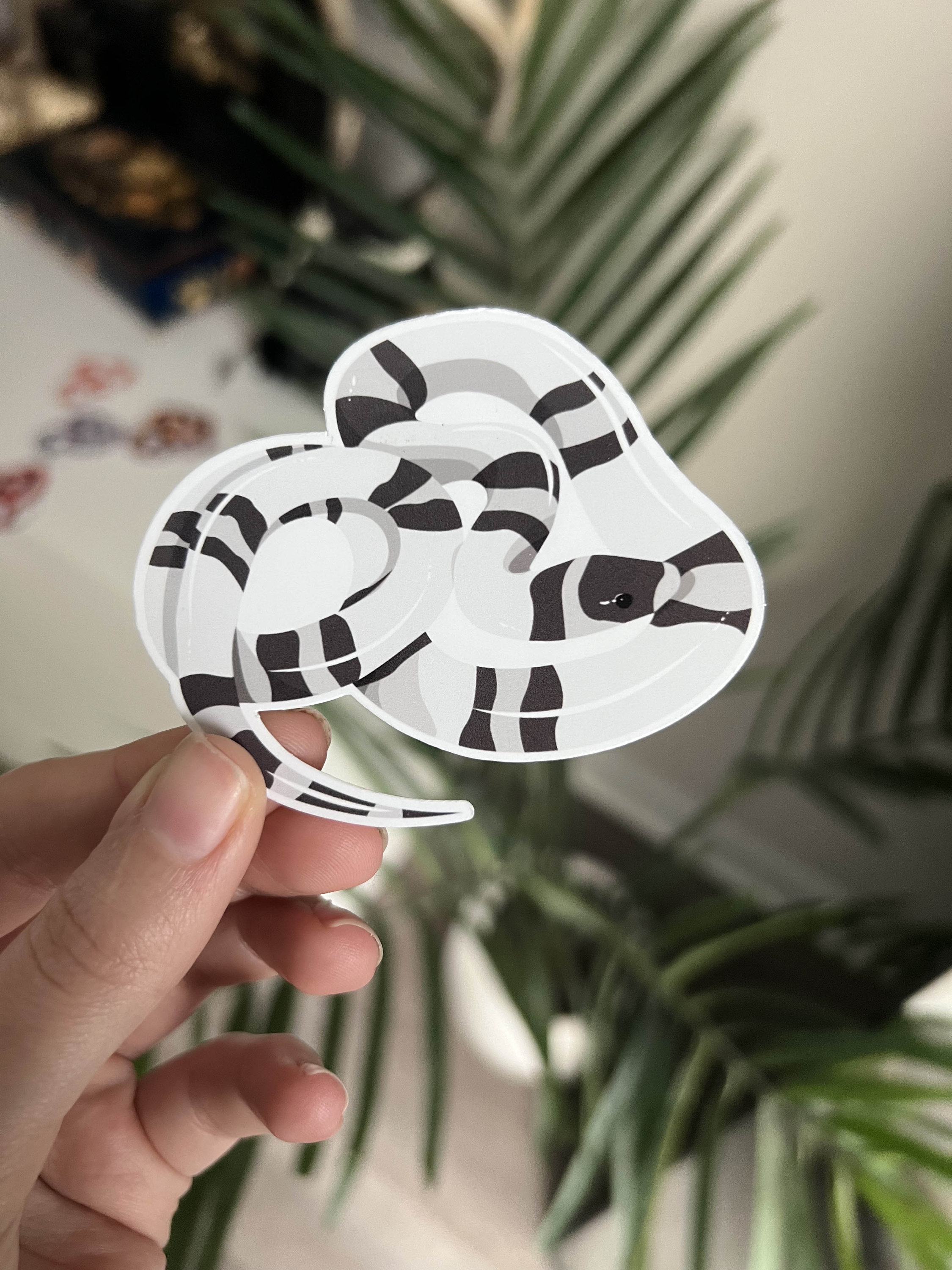 Milk Snake Stickers 6 Morphs Normal Albino Anery - Etsy