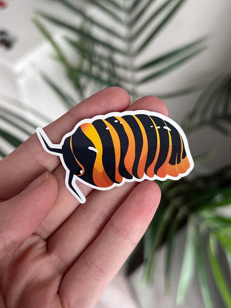 Isopod Stickers 9 Colors Clowns Dwarf White Wild Type - Etsy