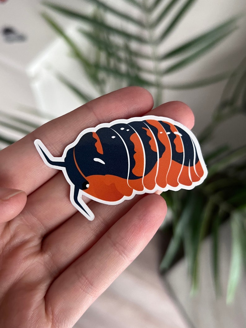 Isopod Stickers 9 Colors Clowns Dwarf White Wild Type - Etsy