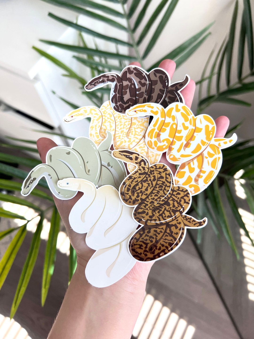 Burmese Python Stickers 6 Morphs Wild, Albino, Granite, Albino Granite ...