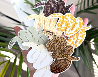 Burmese Python - Etsy