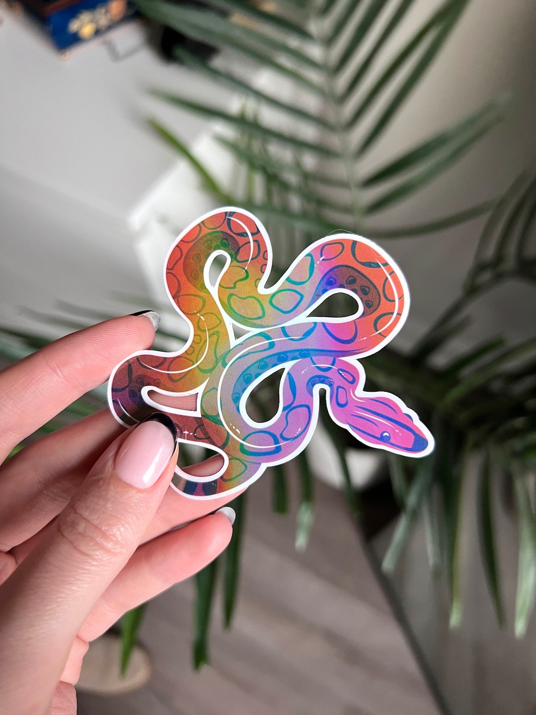 Rainbow Boa Holographic Sticker - Etsy