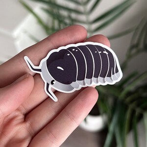 Isopod Stickers 9 Colors Clowns, Dwarf White, Wild Type, Oreo Crumble ...