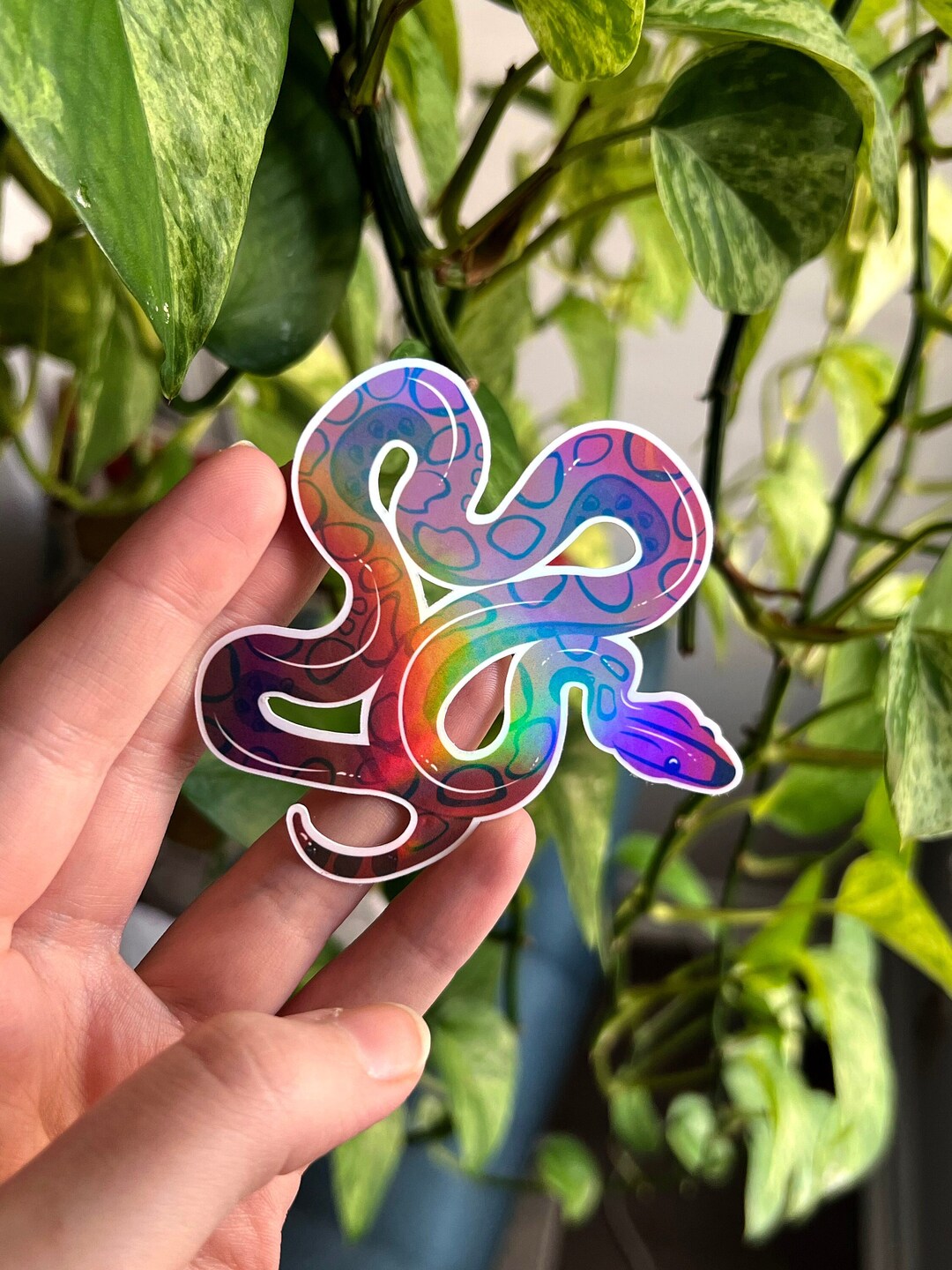 Rainbow Boa Holographic Sticker - Etsy