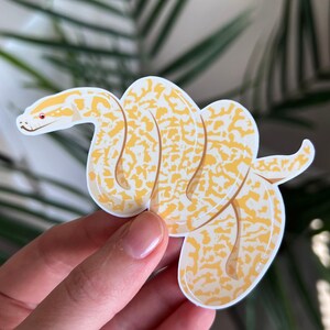 Burmese Python Stickers 6 Morphs Wild, Albino, Granite, Albino Granite ...