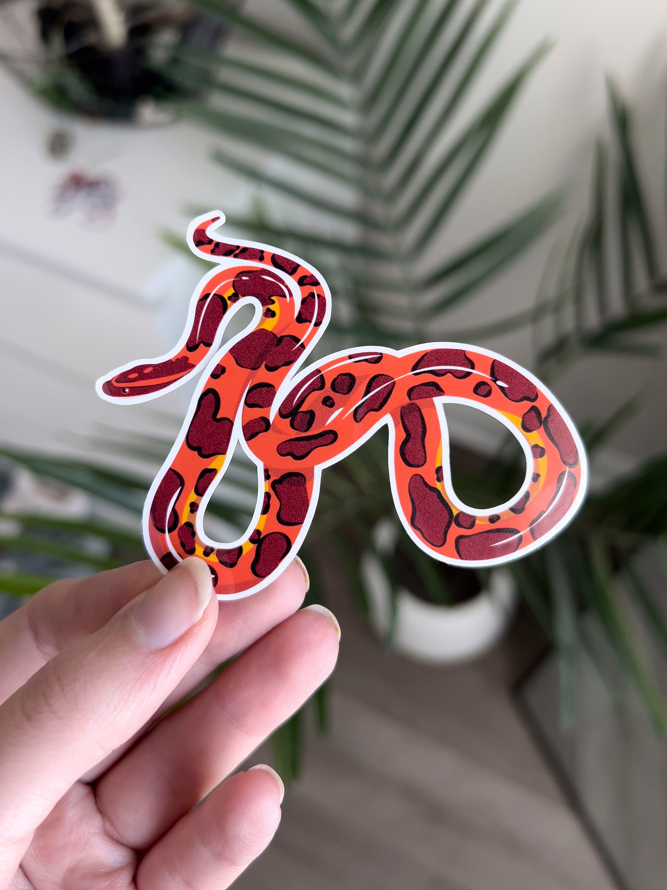 Corn Snake Stickers 6 Morphs Normal Charcoal Candy Cane - Etsy