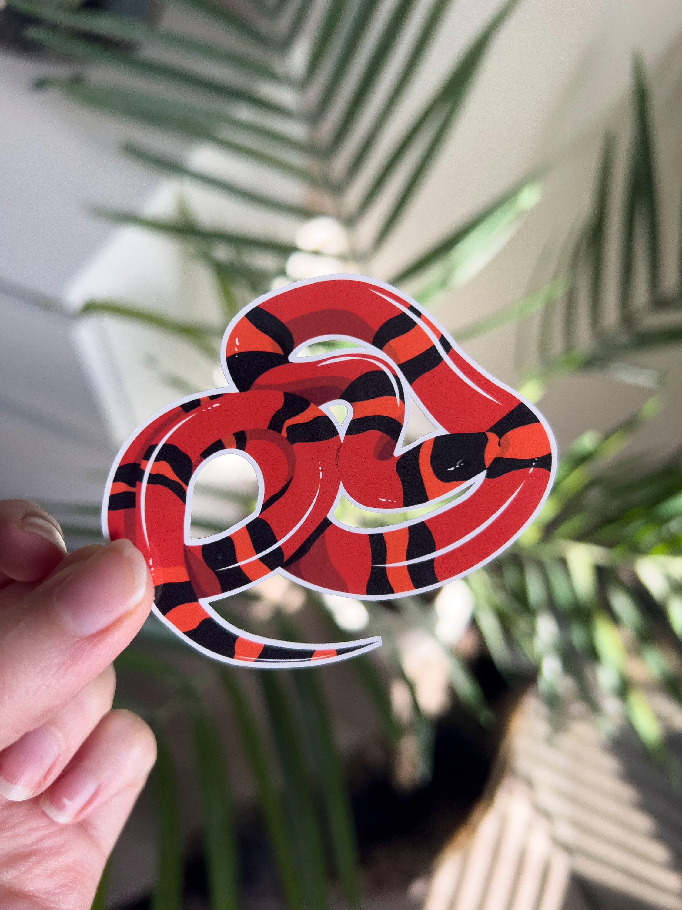 Milk Snake Stickers 6 Morphs Normal Albino Anery - Etsy