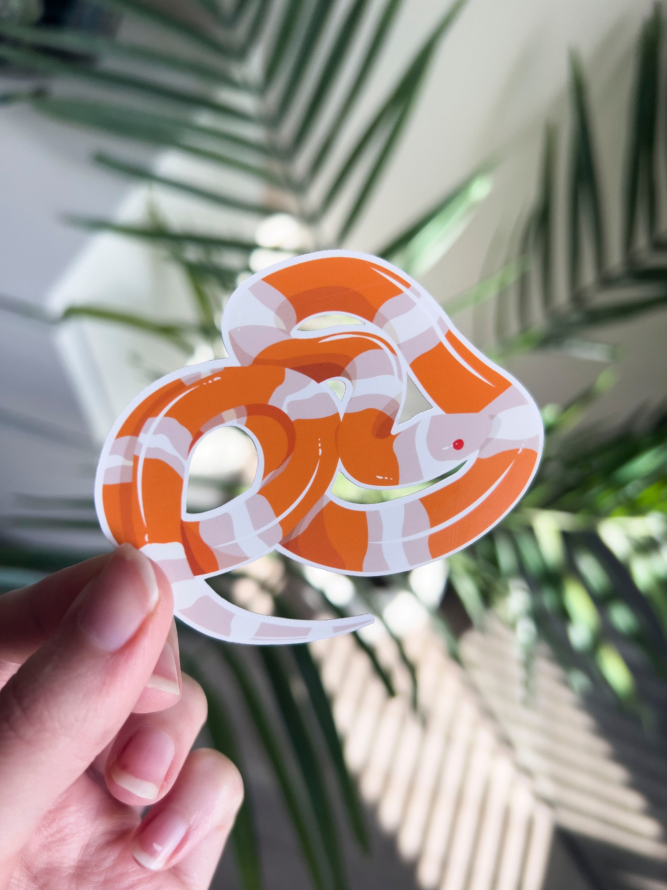 Milk Snake Stickers 6 Morphs Normal Albino Anery - Etsy