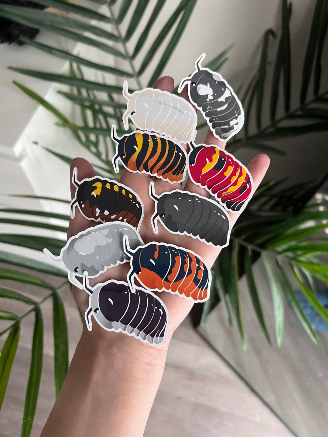 Isopod Stickers 9 Colors Clowns, Dwarf White, Wild Type, Oreo Crumble ...
