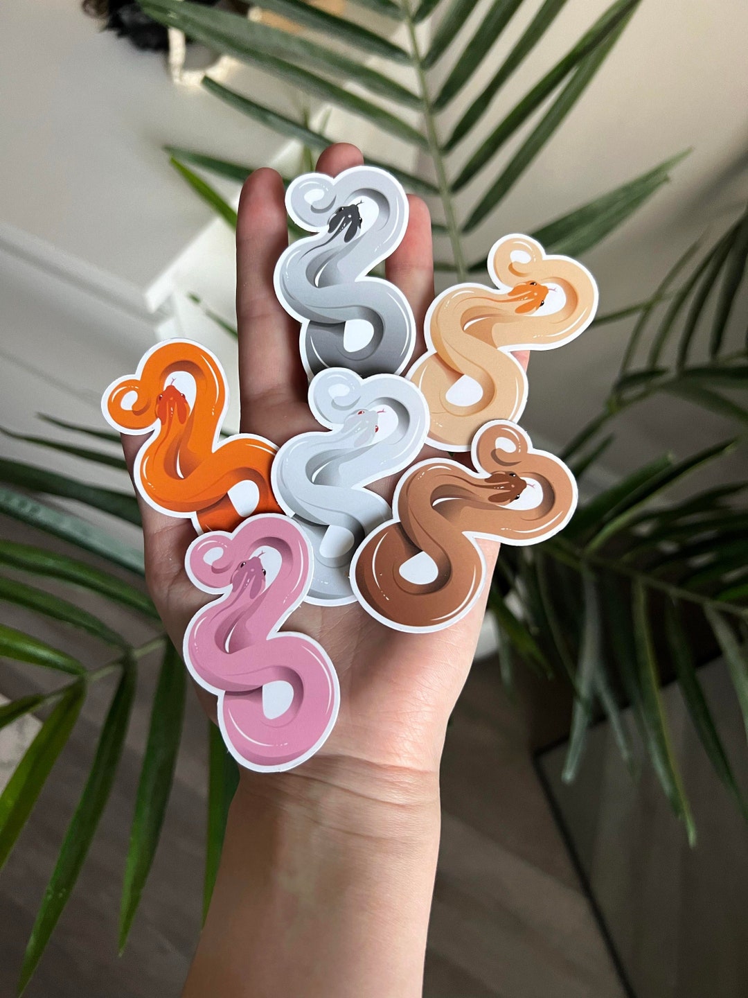 Hognose Super Conda Stickers 6 Morphs Normal, Albino, Toffee/carmel ...