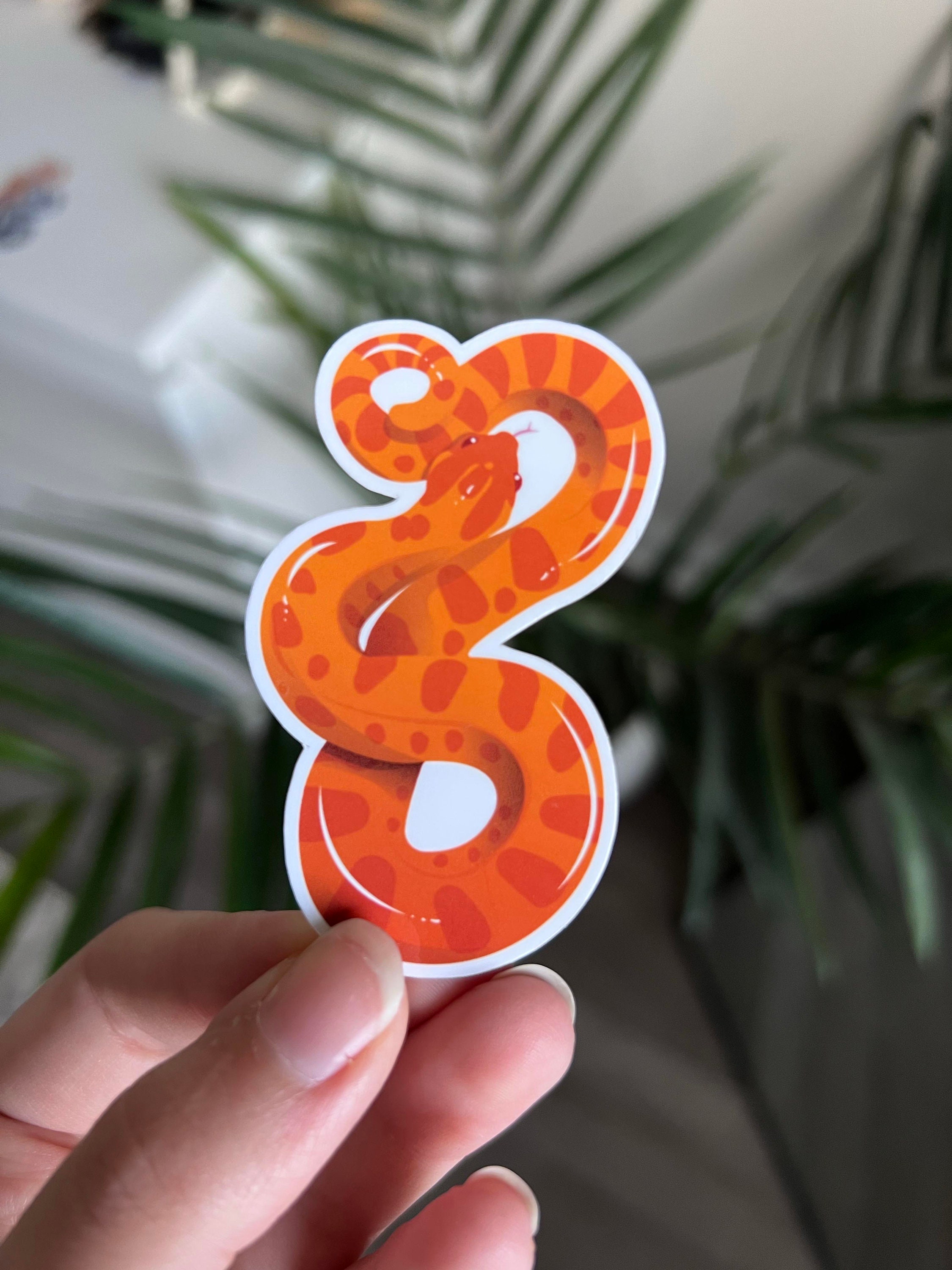 Hognose Conda Stickers 6 Morphs Normal Albino - Etsy