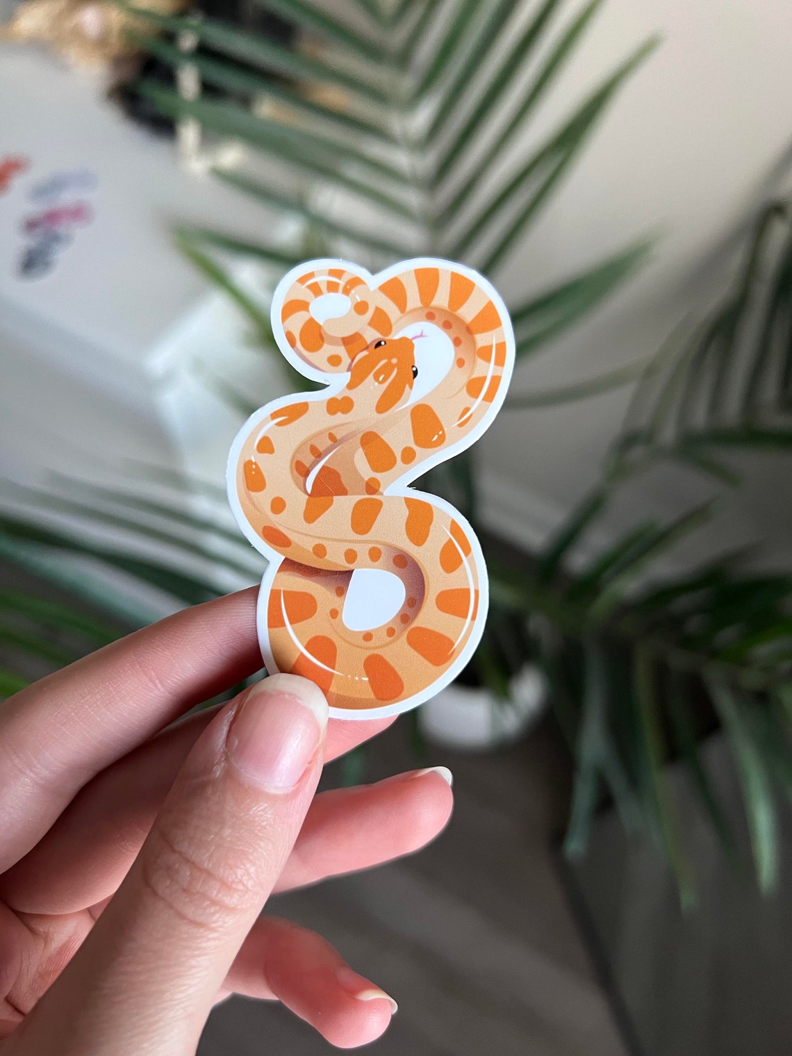 Hognose Conda Stickers 6 Morphs Normal Albino - Etsy