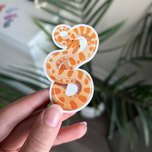 Hognose Conda Stickers 6 Morphs Normal, Albino, Toffee/carmel, Snow ...