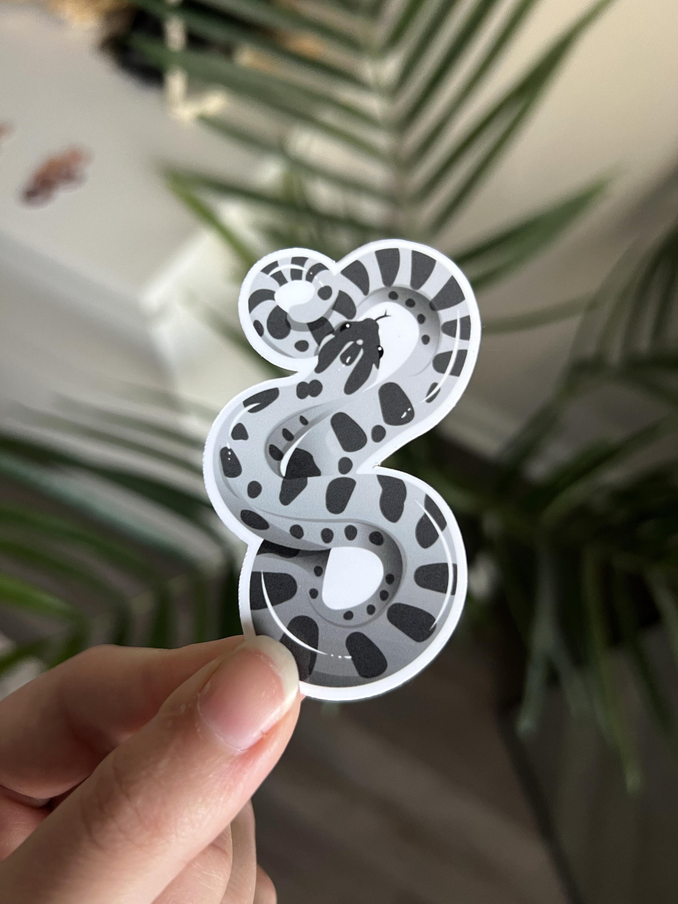 Hognose Conda Stickers 6 Morphs Normal Albino - Etsy