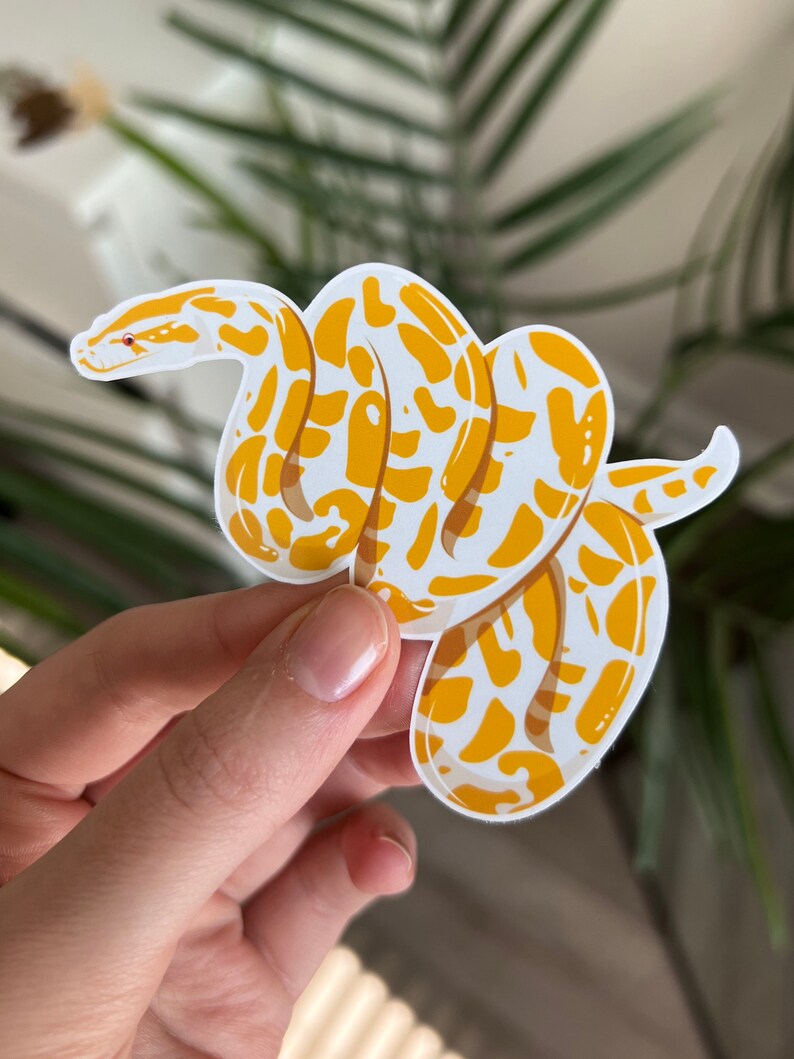Burmese Python Stickers 6 Morphs Wild Albino Granite - Etsy