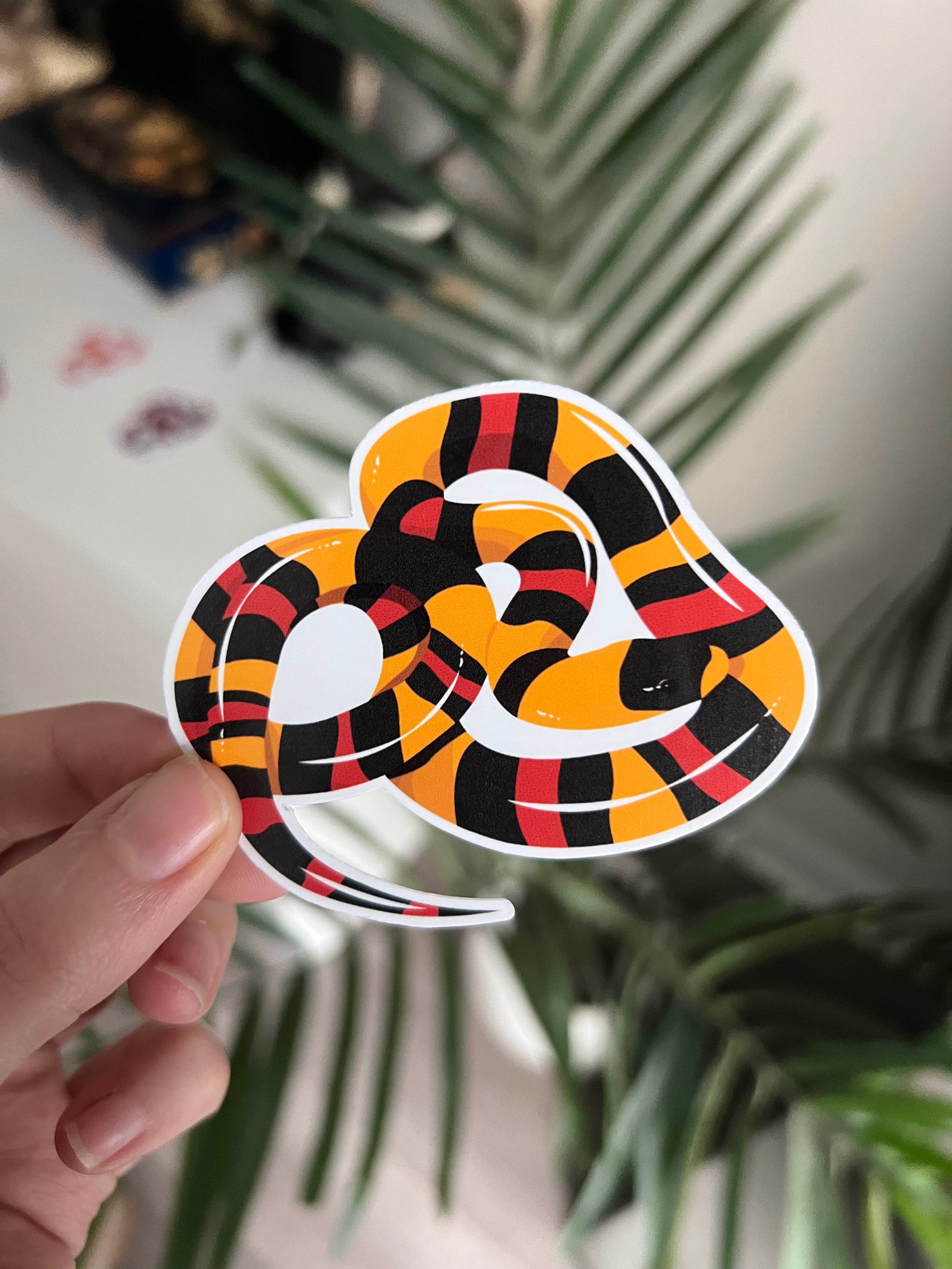 Milk Snake Stickers 6 Morphs Normal Albino Anery - Etsy