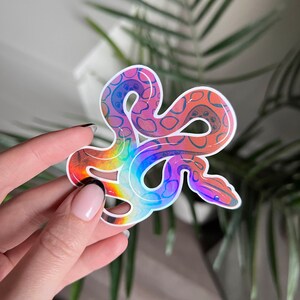 Rainbow Boa Holographic Sticker - Etsy